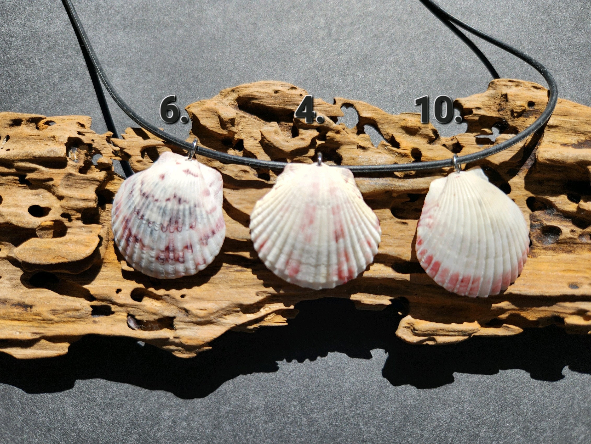Shell Necklace, Real Seashell Jewelry, Seashell Pendant, Shell Choker ...