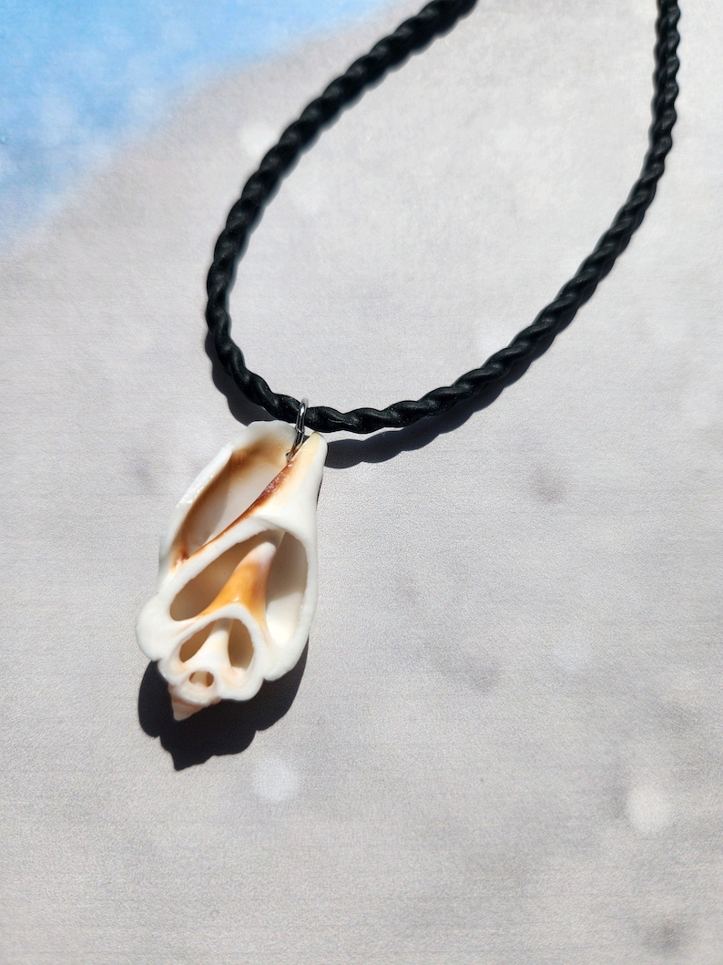Conch Shell Necklace, Sliced Conch Seashell, Real Seashell Necklace ...