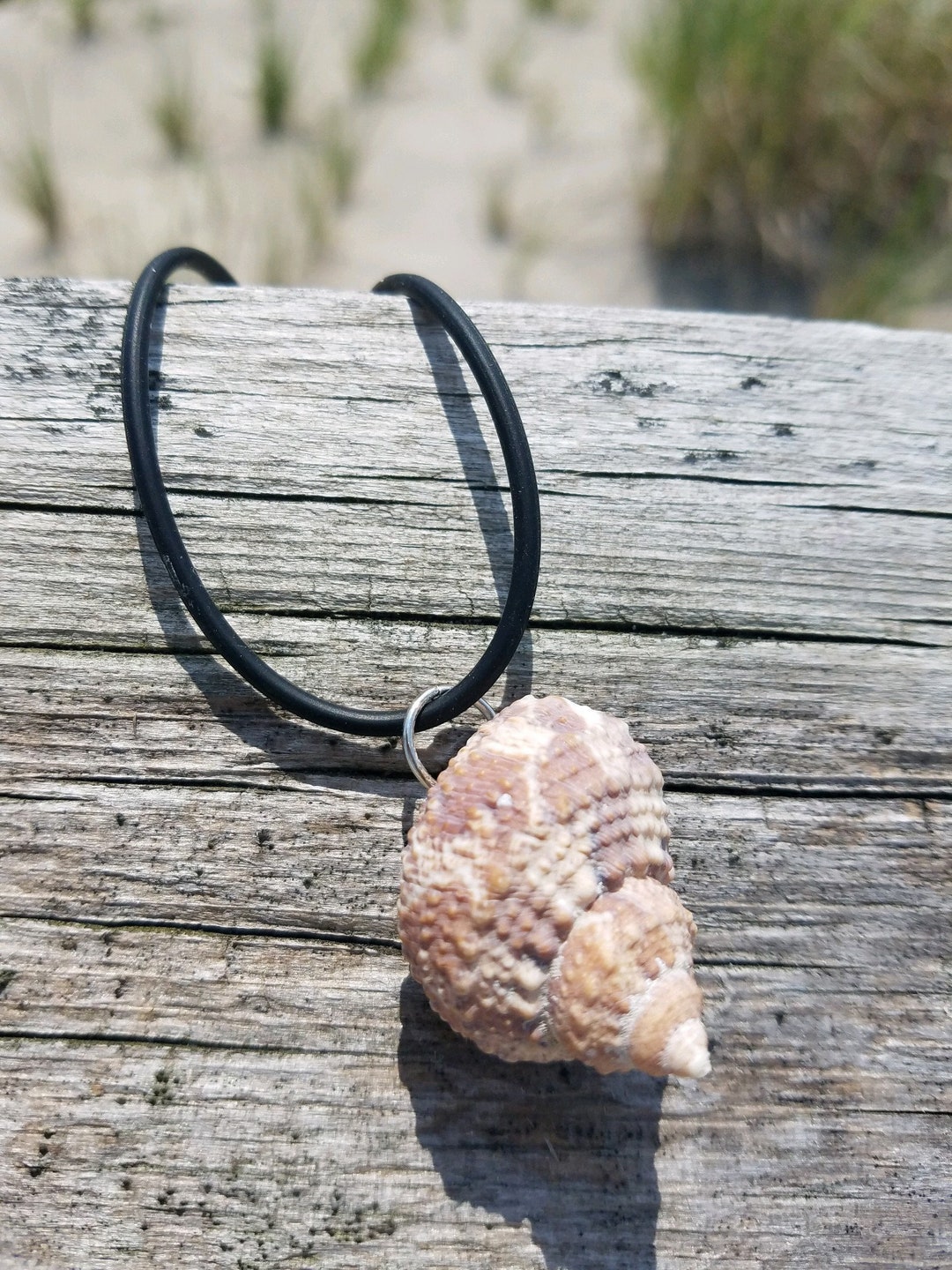 Seashell Necklace, Real Shell Jewelry, Seashell Pendant, Shell Choker ...