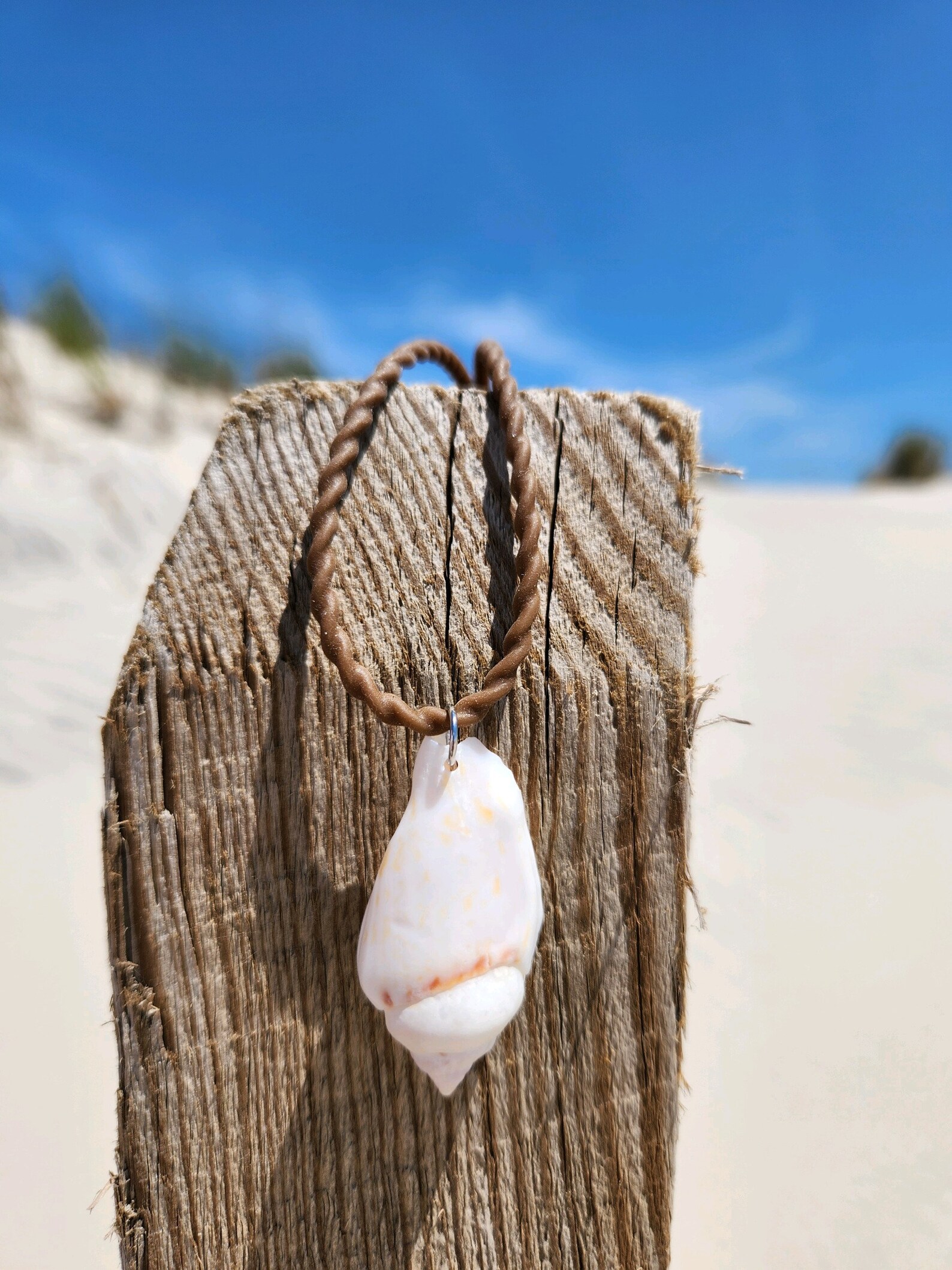Conch Shell Necklace, Sliced Conch Seashell, Real Seashell Necklace ...