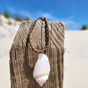 Conch Shell Necklace, Sliced Conch Seashell, Real Seashell Necklace ...