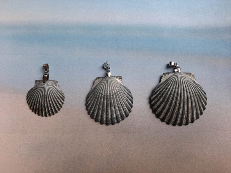 Seashell Necklace Seashell Pendant Shell Pendant Beach - Etsy