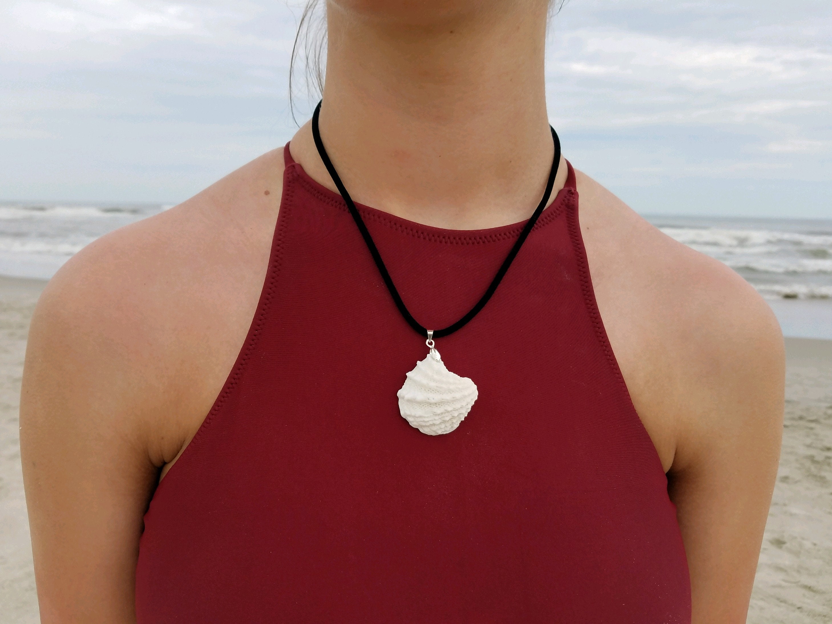 Seashell Necklace White at Dorothy Bufkin blog