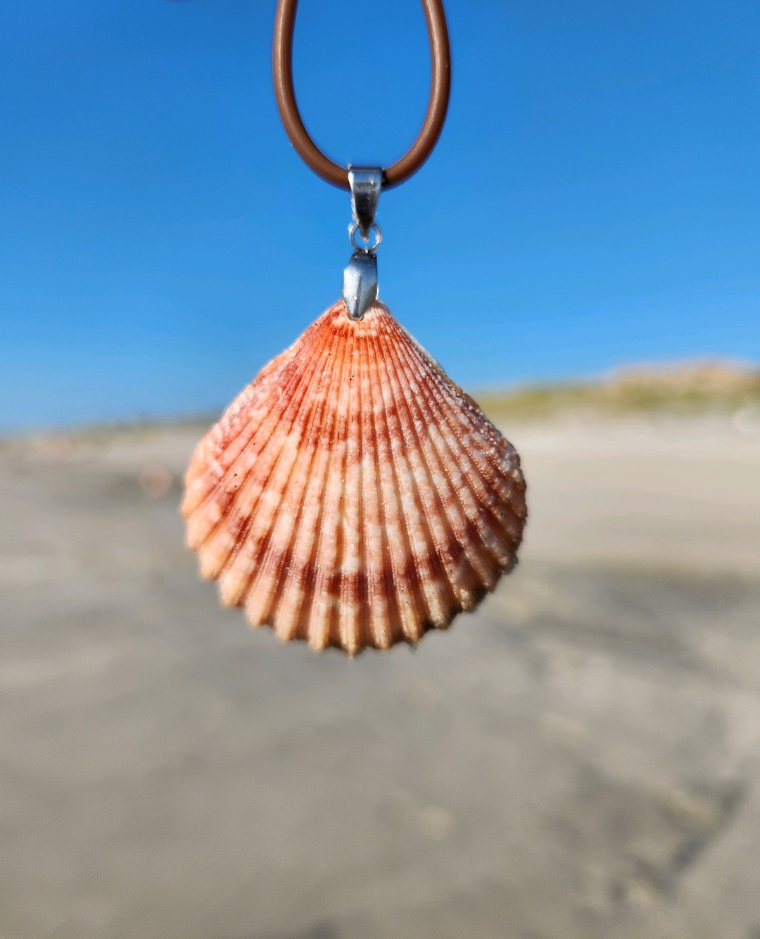 Shell Necklace, Seashell Pendant, Seashell Choker, Beach Jewelry, Real ...