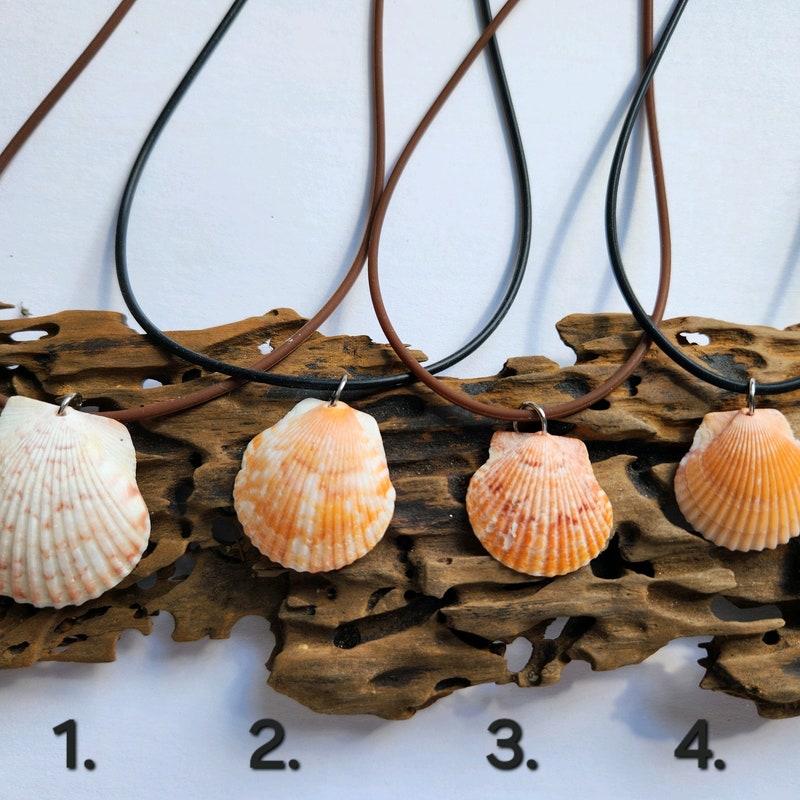 Seashell Necklace - Etsy