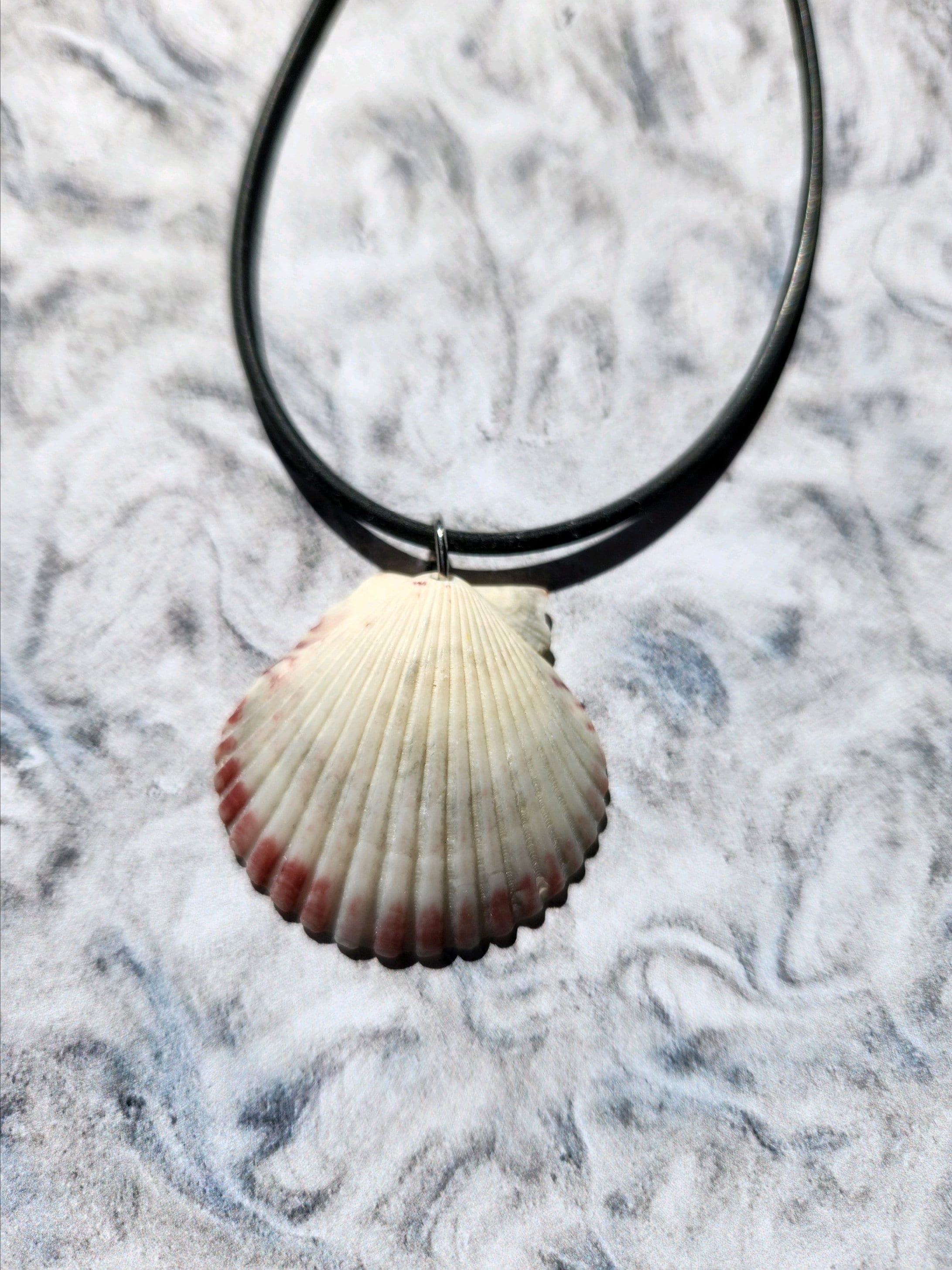 Shell Necklace, Real Seashell Jewelry, Seashell Pendant, Shell Choker ...