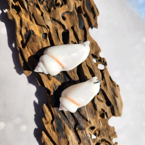 Conch Shell Necklace, Sliced Conch Seashell, Real Seashell Necklace ...