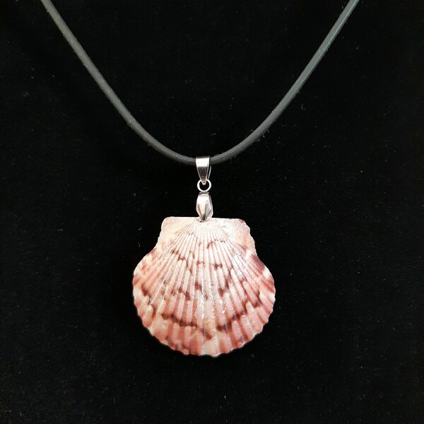 Pink Seashells - Etsy
