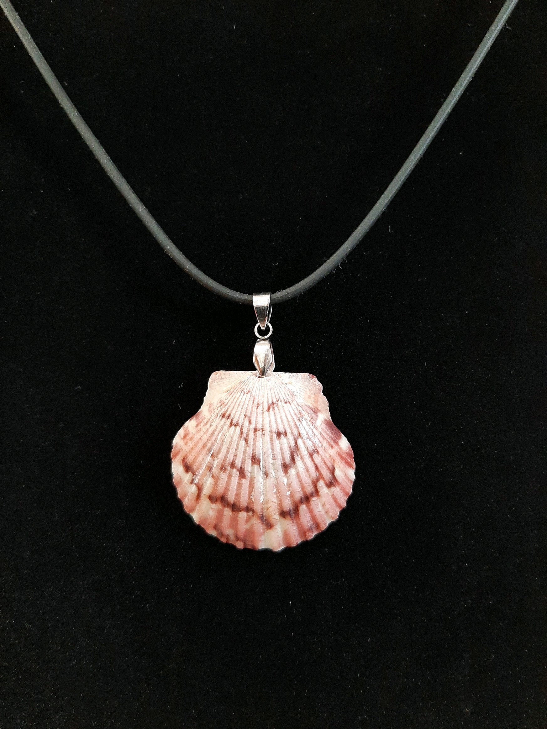 Collar de concha collar de concha joyería de conchas | Etsy