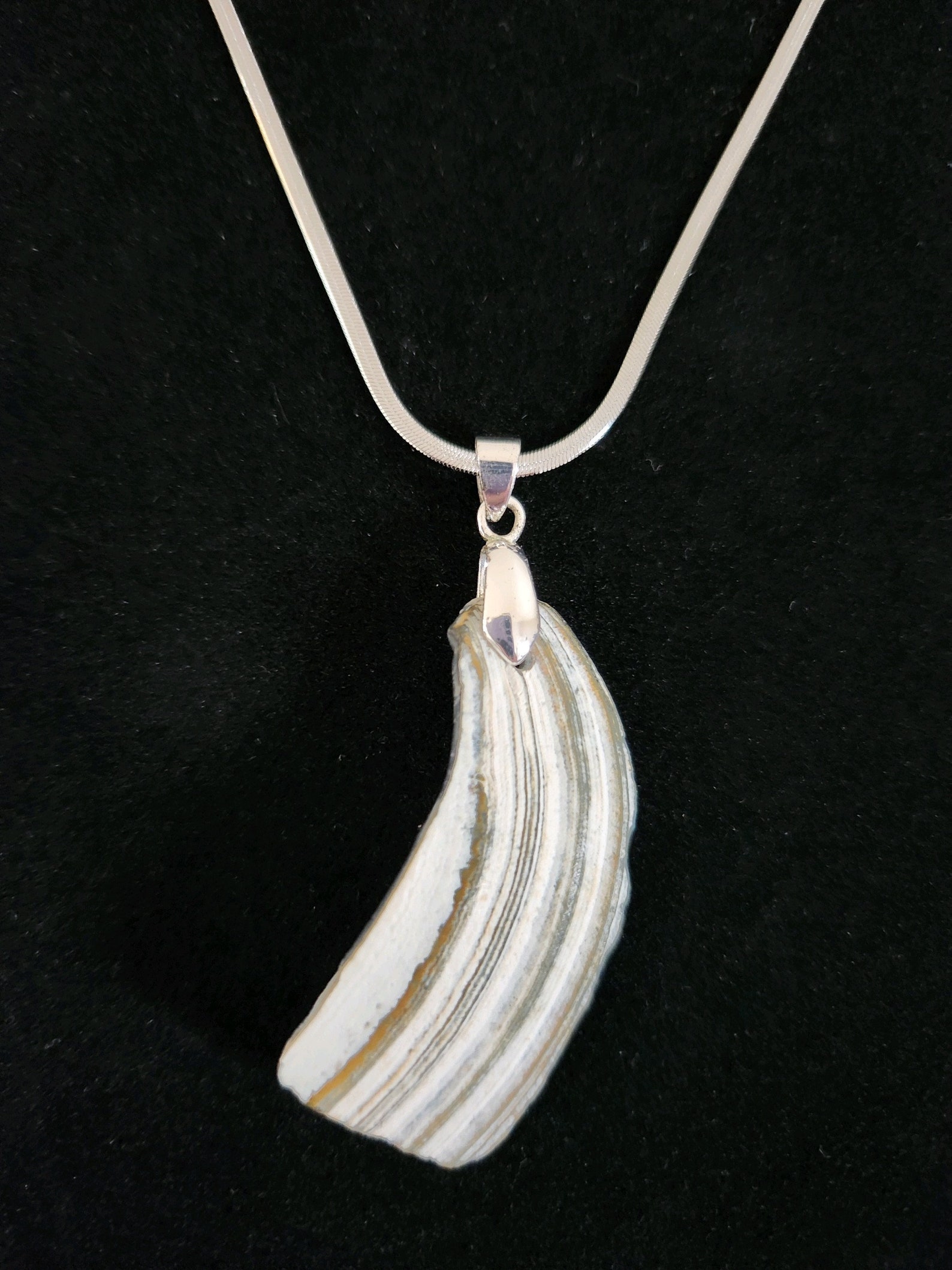 Shell Necklace, Seashell Pendant, Shell Pendant, Shell Jewelry, Real ...