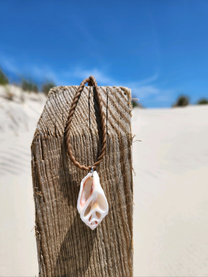 Conch Shell Necklace, Sliced Conch Seashell, Real Seashell Necklace ...