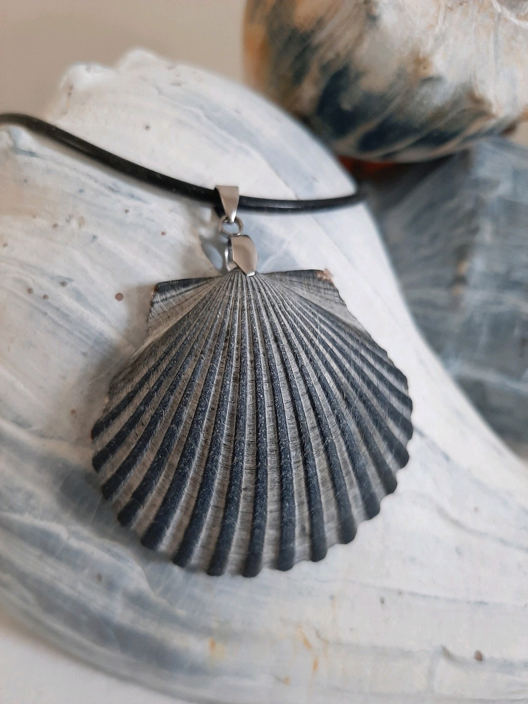 Seashell Necklace, Seashell Pendant, Shell Pendant, Beach Jewelry, Real ...
