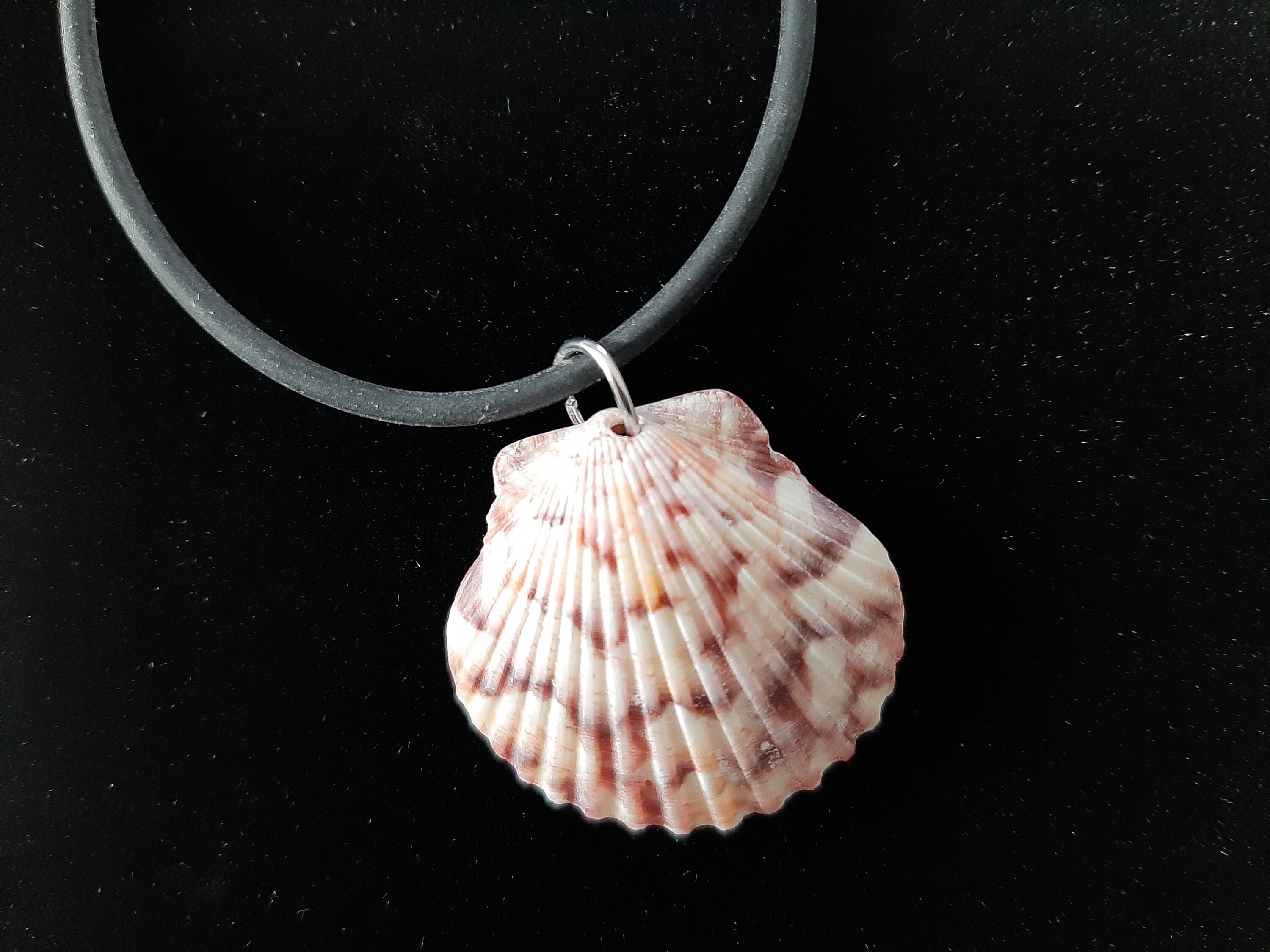 Seashell Necklace, Shell Necklace, Seashell Pendant, Real Shell ...