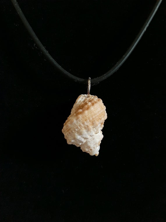 Seashell Necklace Real Shell Jewelry Seashell Pendant Shell - Etsy