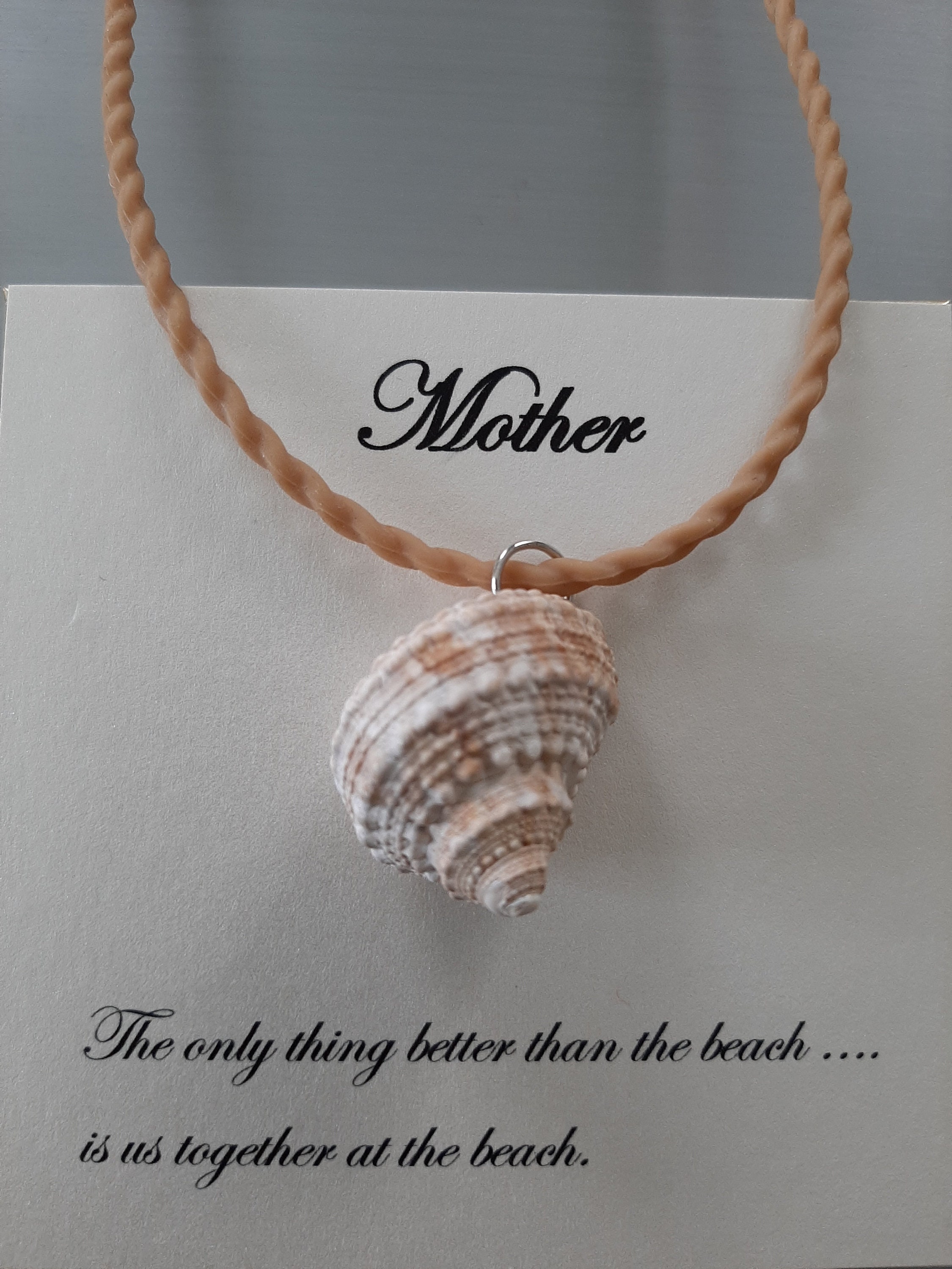 Seashell Necklace, Real Shell Jewelry, Seashell Pendant, Shell Choker ...