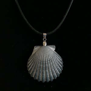 Seashell Necklace Seashell Pendant Shell Pendant Beach - Etsy
