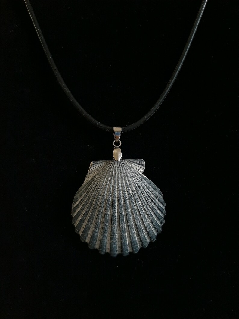 Seashell Necklace Seashell Pendant Shell Pendant Beach - Etsy