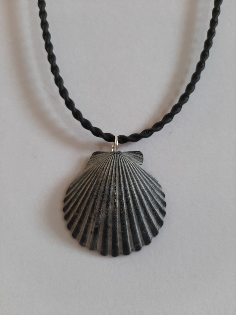 Seashell Necklace Seashell Pendant Shell Pendant Beach | Etsy