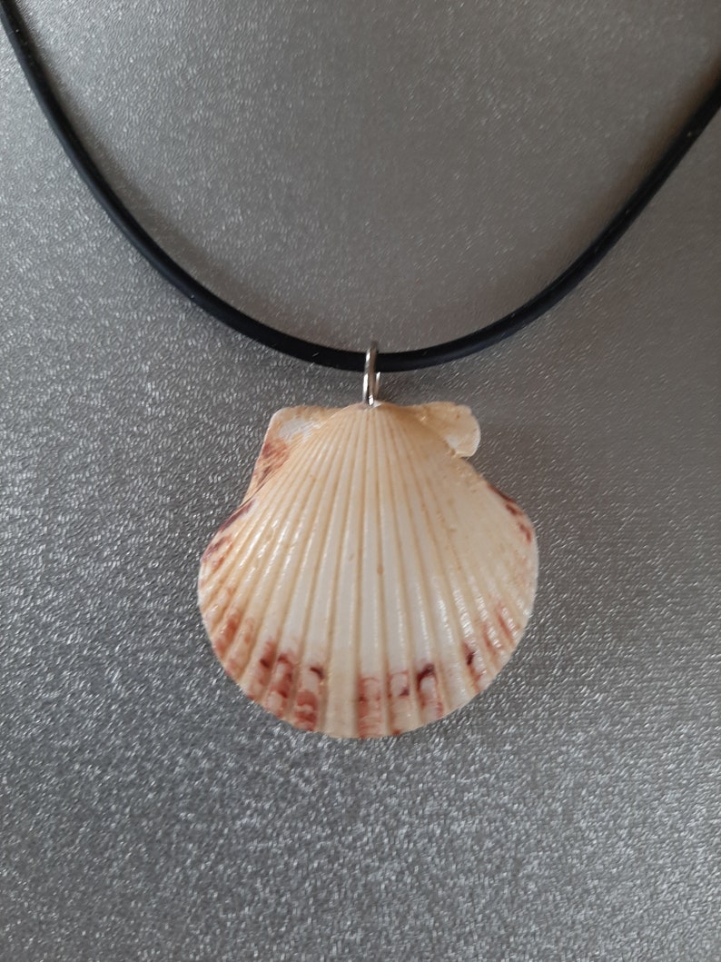 Seashell Necklace Shell Necklace Seashell Pendant Real - Etsy