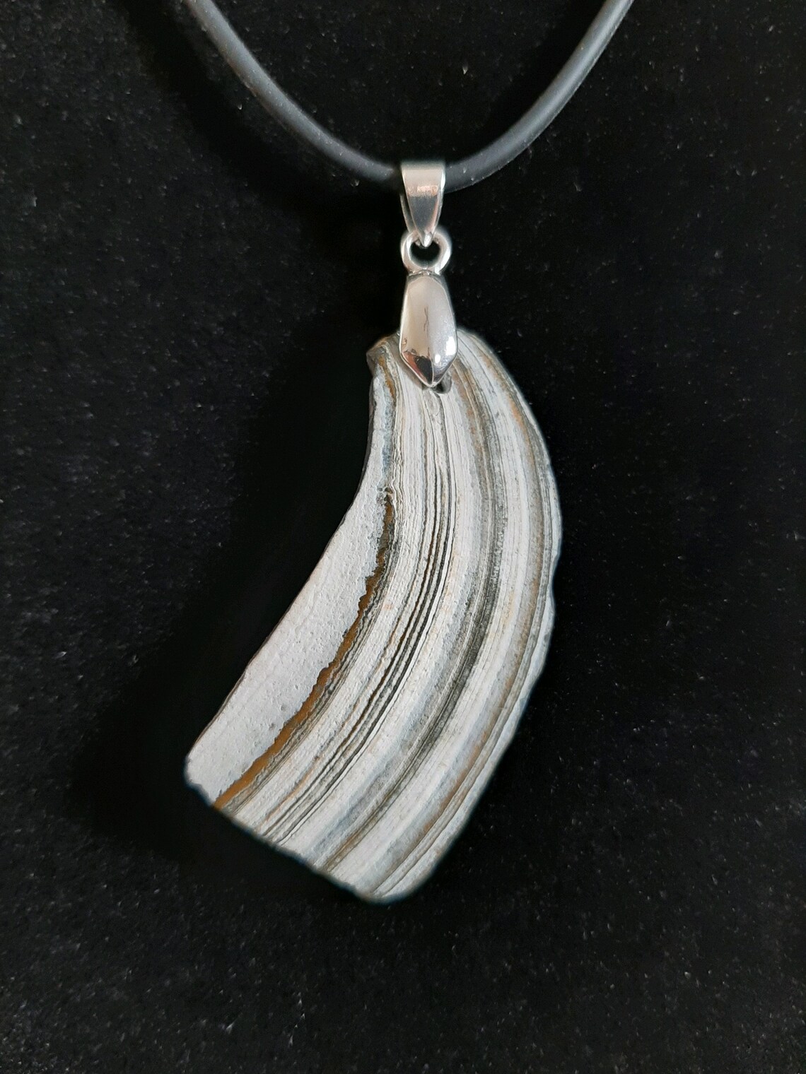 Shell Necklace Seashell Pendant Shell Pendant Shell | Etsy