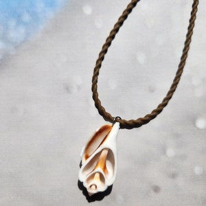 Conch Shell Necklace, Sliced Conch Seashell, Real Seashell Necklace ...
