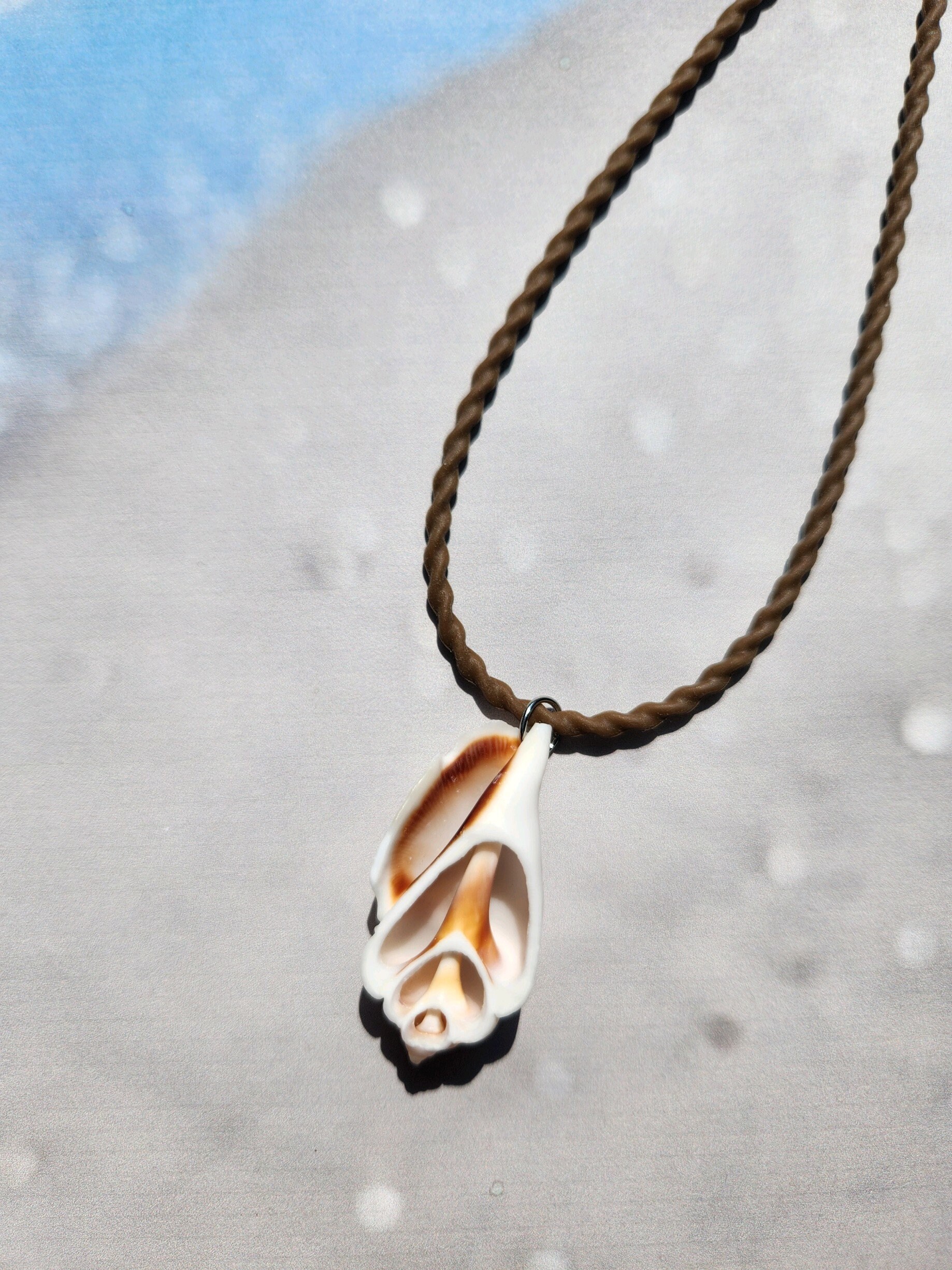 Conch Shell Necklace, Sliced Conch Seashell, Real Seashell Necklace ...