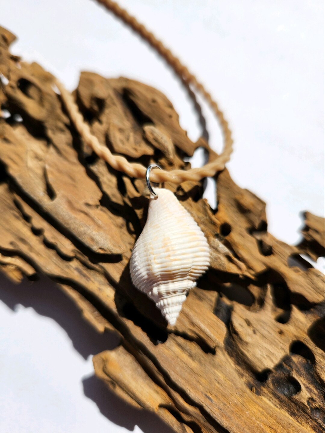 Real Seashell Necklace, Shell Necklace, Seashell Jewelry, Shell Pendant ...