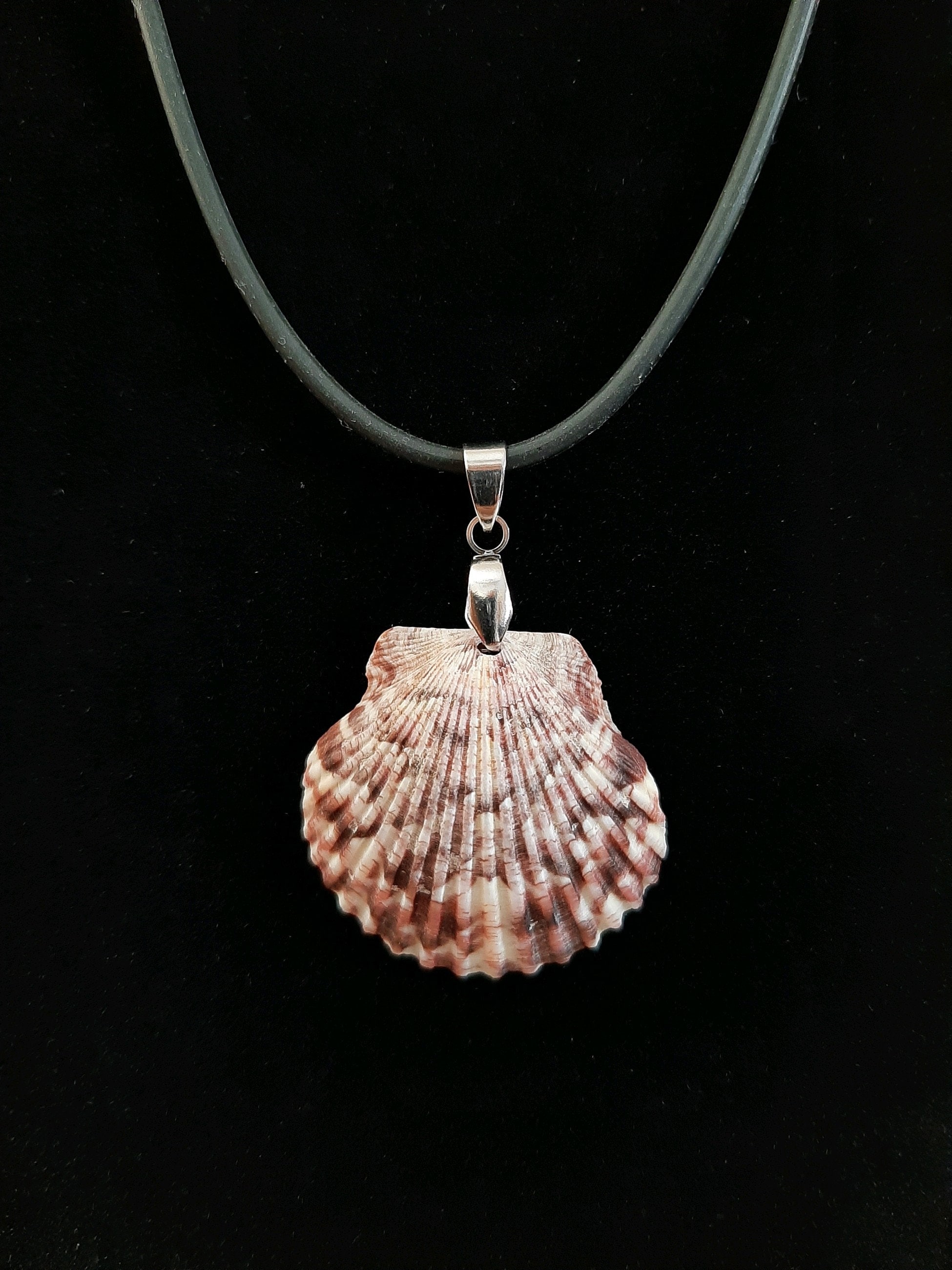 Collar de concha collar de concha joyería de conchas | Etsy