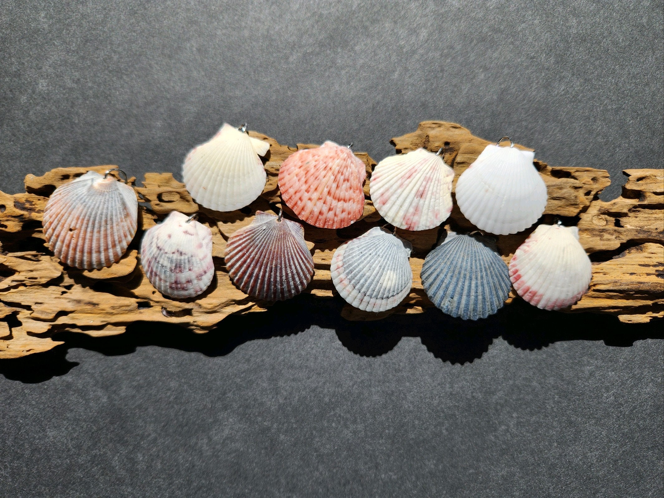 Shell Necklace, Real Seashell Jewelry, Seashell Pendant, Shell Choker ...