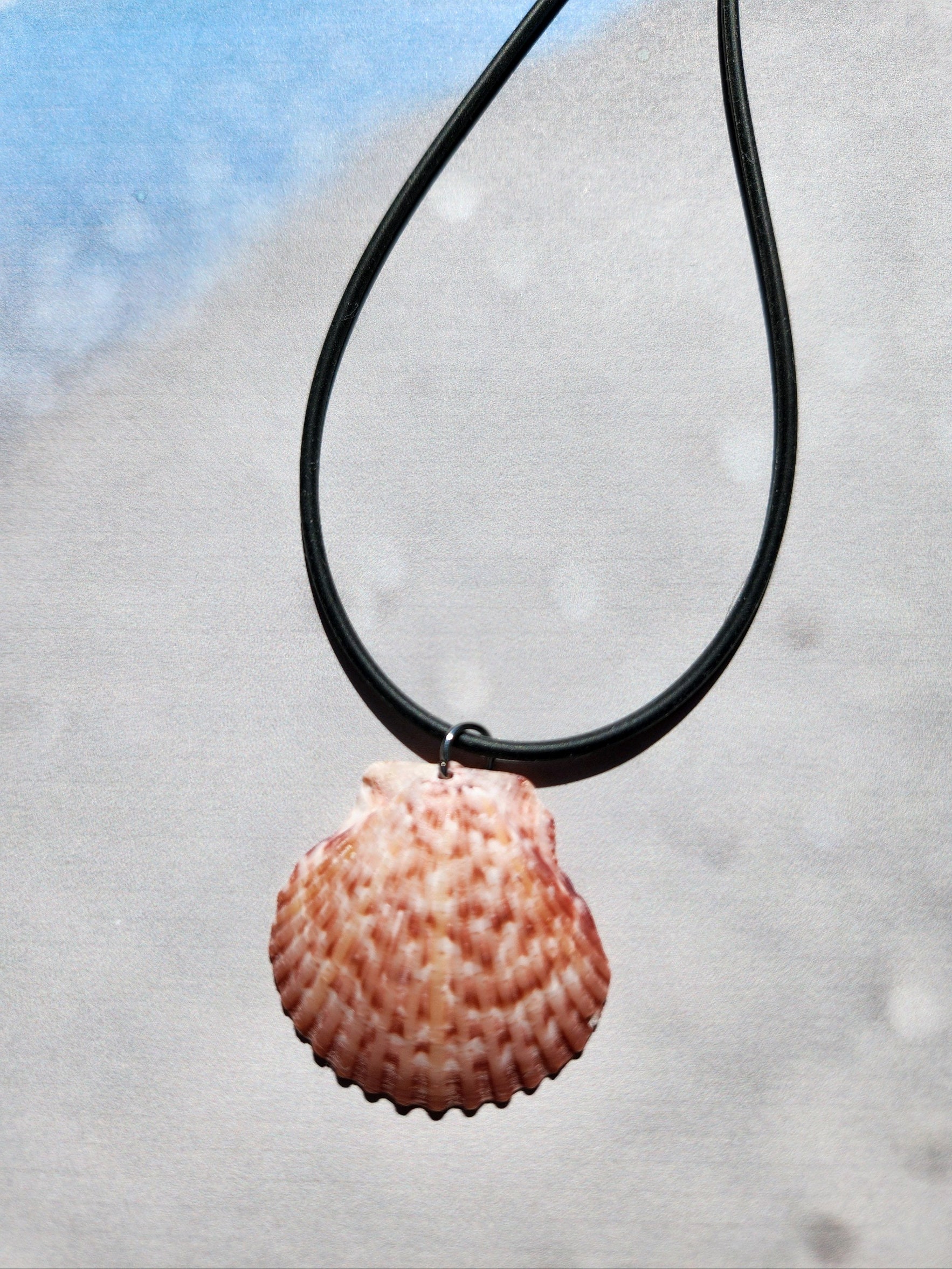 Shell Necklace, Real Seashell Jewelry, Seashell Pendant, Shell Choker ...