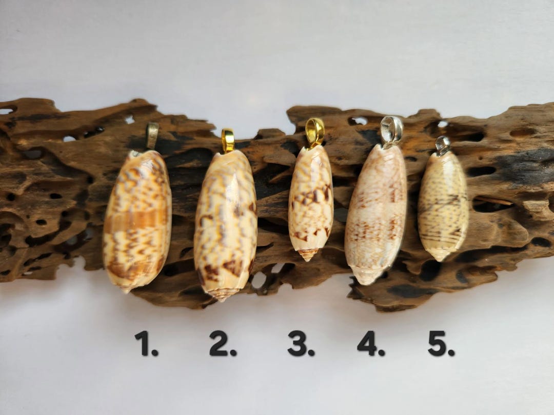Shell Necklace, Real Seashell Pendant, Real Olive Sea Shell Necklace ...