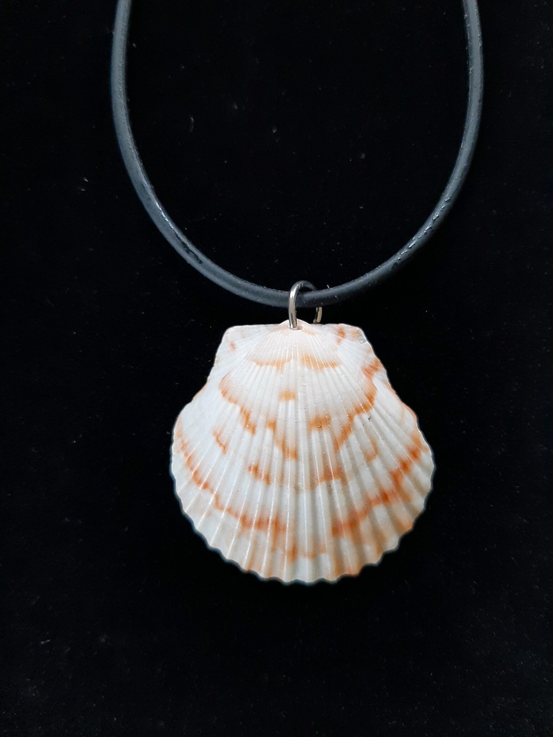 Shell Necklace, Seashell Pendant, Seashell Choker, Beach Jewelry, Real ...