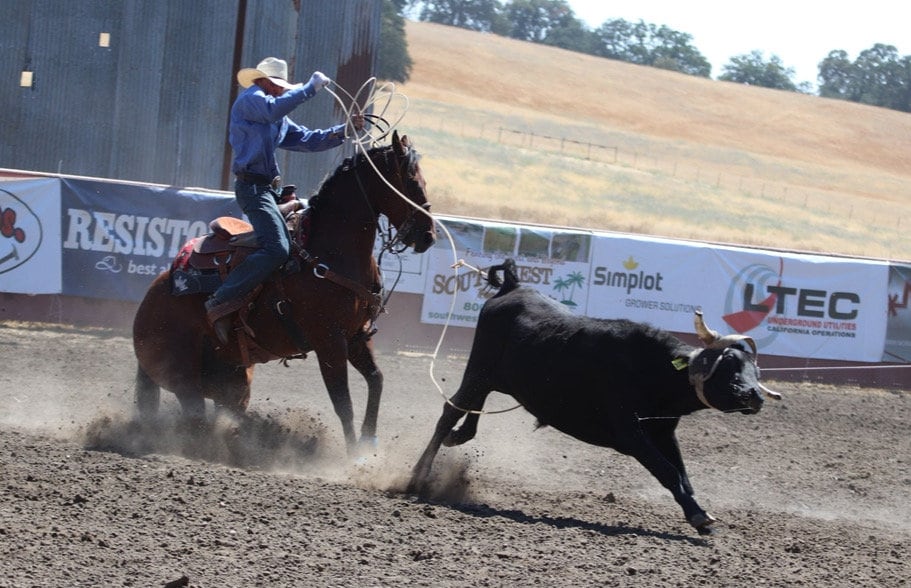 Used Cowboy Ropes/lariat/lasso - Etsy