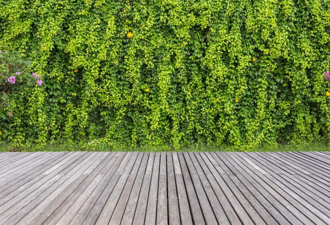 Green Bush Wall Backdrops Grass Wooden Backdrop Spring Summer - Etsy