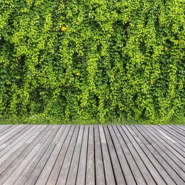 Grass Wall Backdrop - Etsy