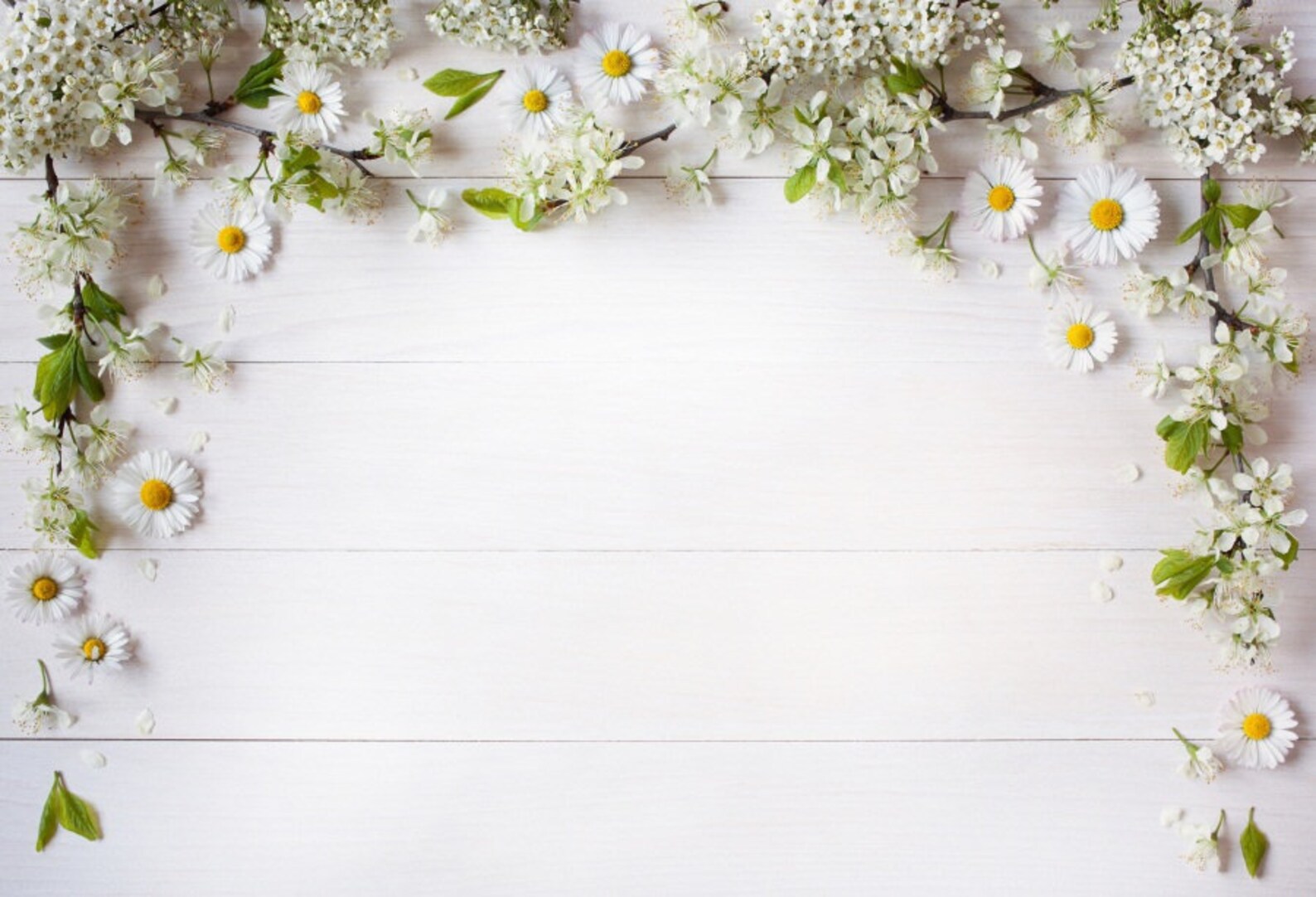 Rustic Wedding Flowers Brown Wood Floor Backdrops Spring Baby - Etsy