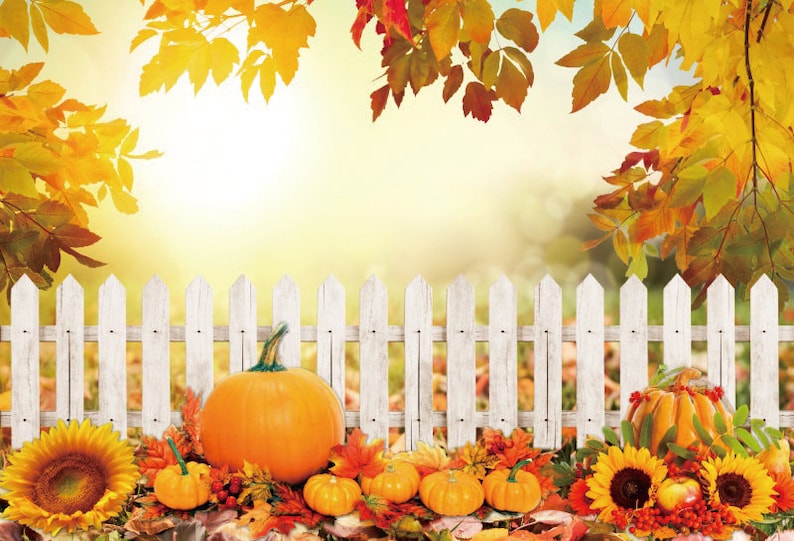 Fall Photography Backdrop Autumn Maple Forest Leaves Pumpkin - Etsy