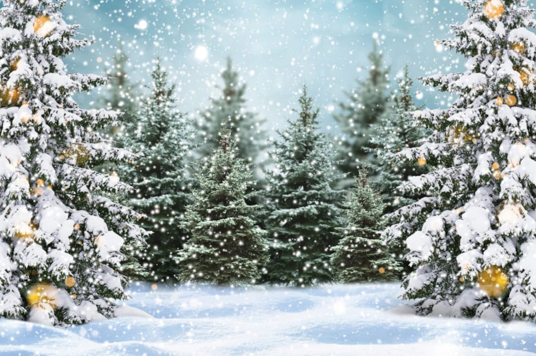 Winter Photo Studio Props Bokeh Snow Christmas Tree Photo Backdrop Xmas ...