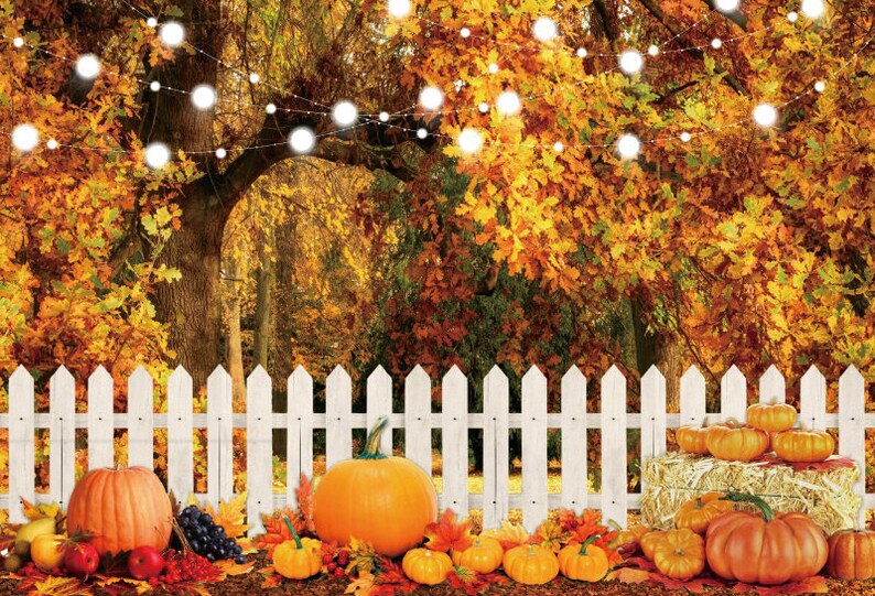 Fall Photography Backdrop Autumn Maple Forest Leaves Pumpkin - Etsy