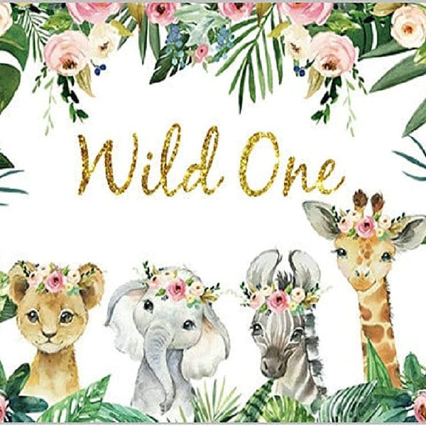 Wild One Backdrop - Etsy