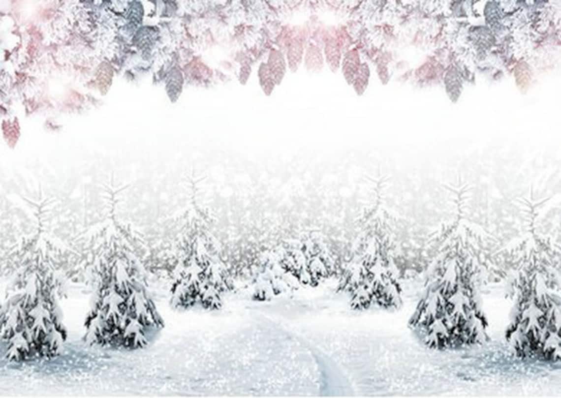 Winter Scene Backdrop Wonderland Snowflake Newborn Kids | Etsy