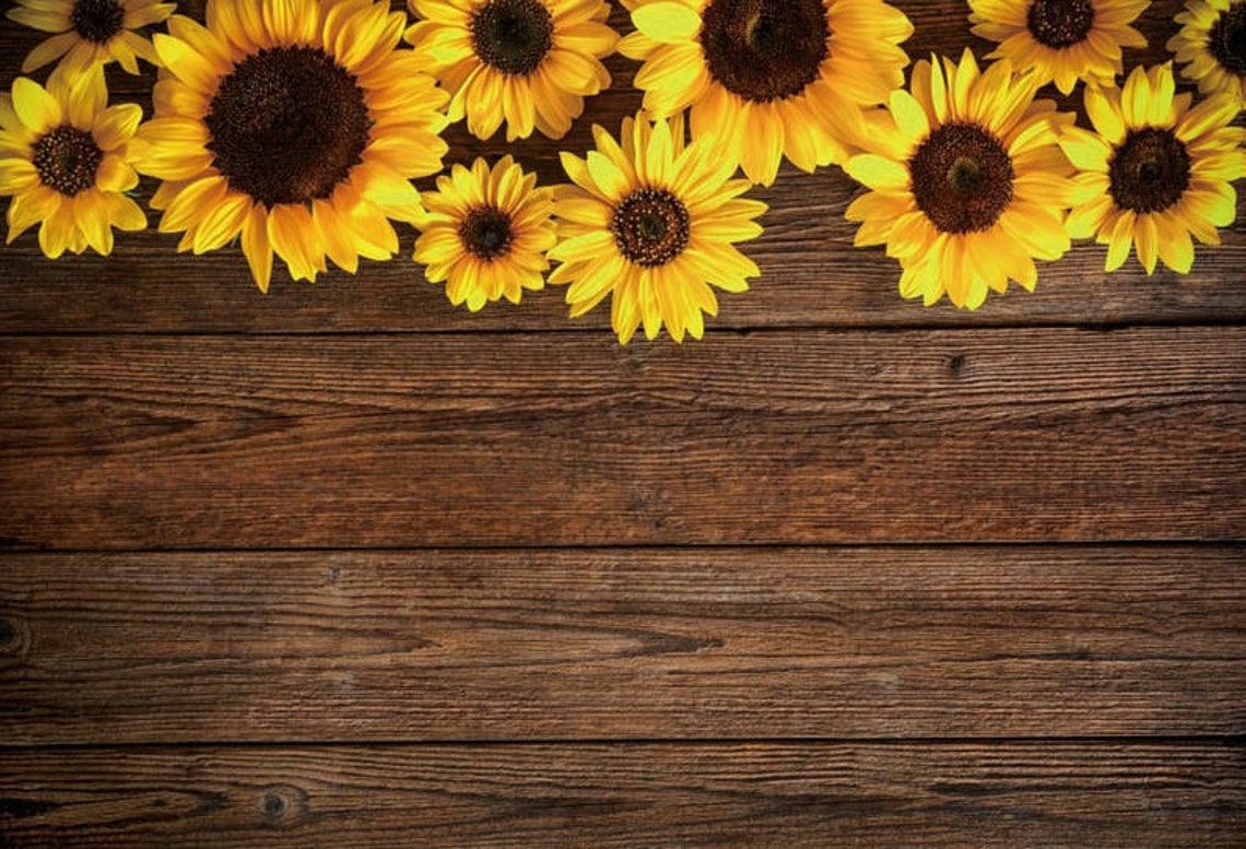 Sunflower Wood Texture Backdrops for Photography Rustic Child - Etsy