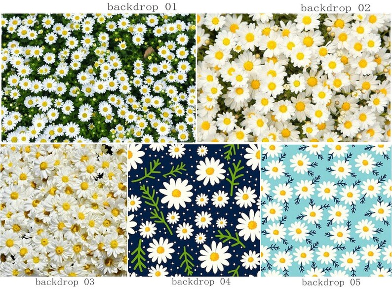 Bridal Shower Daisy Backdrop White Flowers Wall Photobooth - Etsy