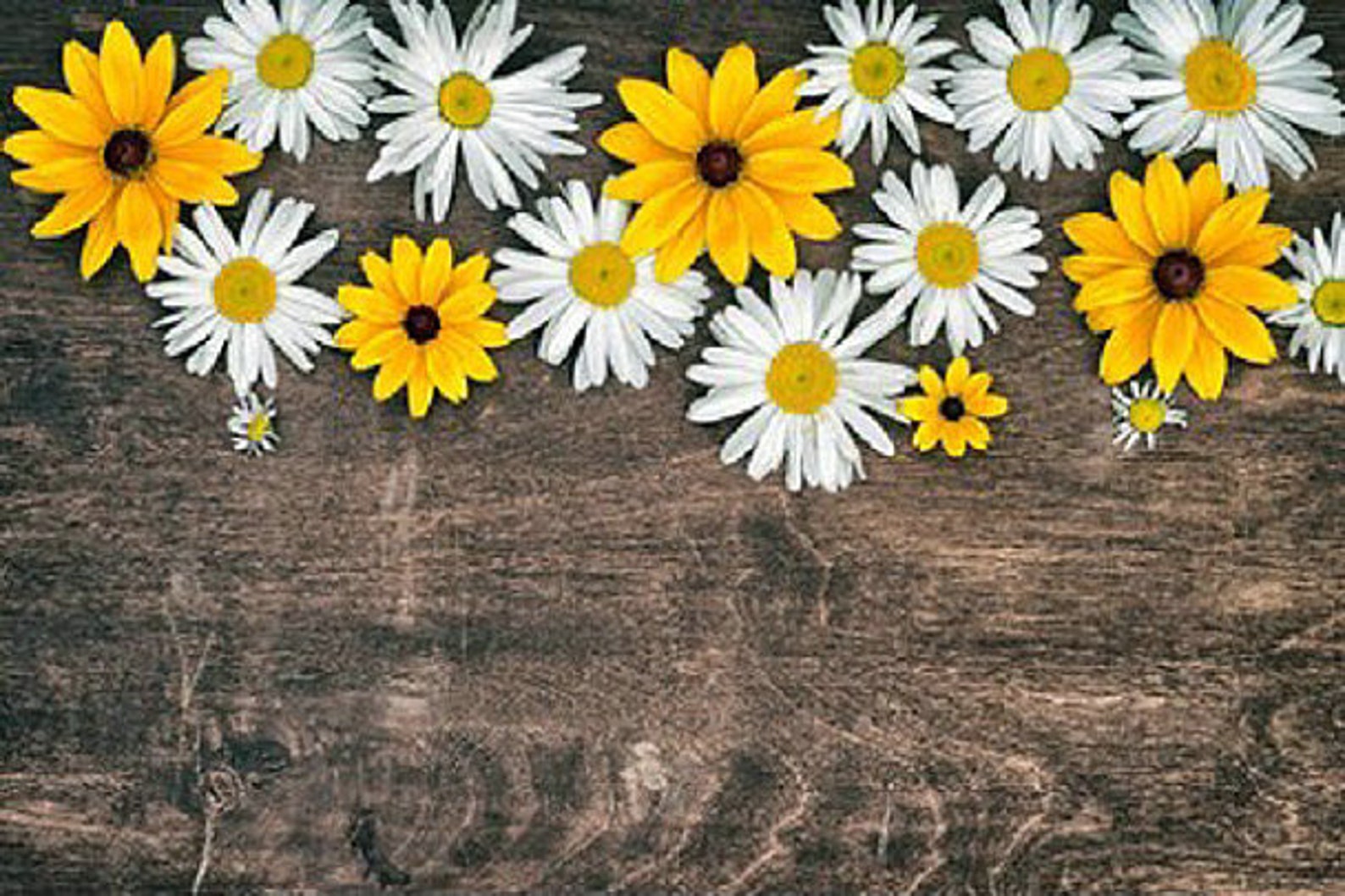 Daisy Sunflower Backdrops Wood Texture for Photography Child | Etsy