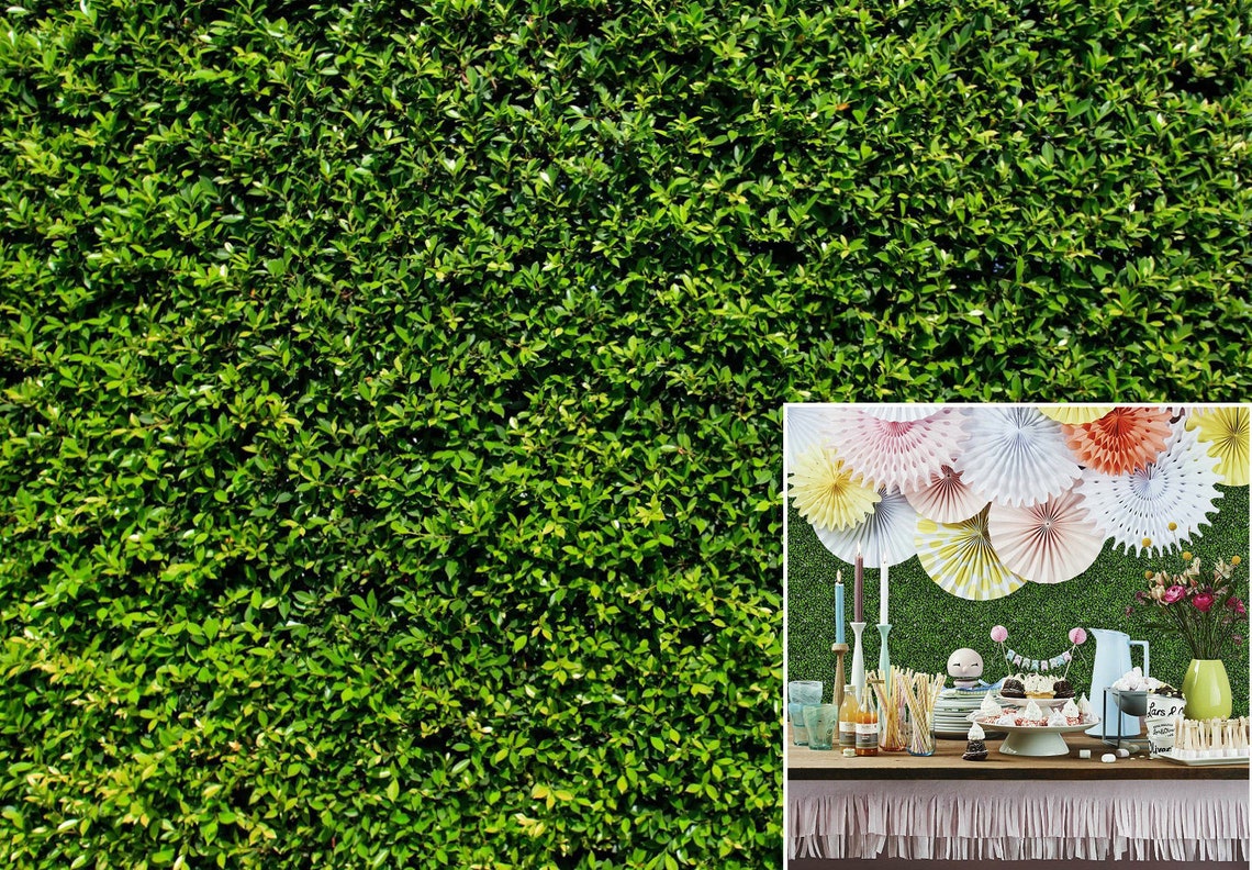 Green Leaves Wall Photography Backdrops Nature Safari Party | Etsy