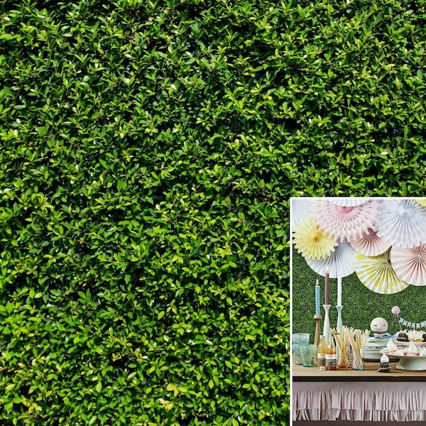 Grass Wall Backdrop - Etsy