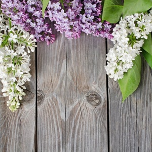Rustic Wedding Flowers Brown Wood Floor Backdrops Spring Baby - Etsy