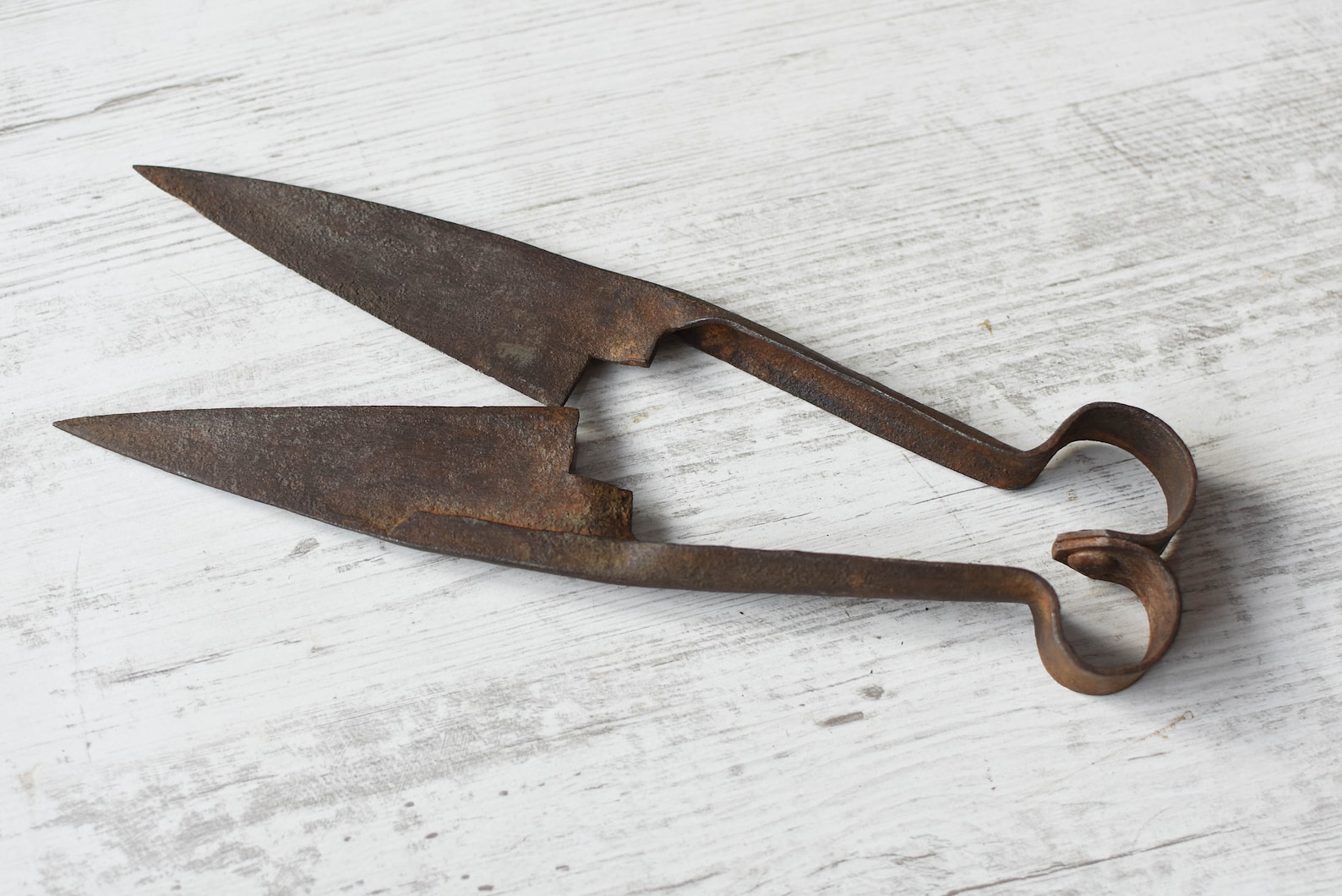 Vintage Sheep Shears//primitive Antiques//metal Sheep Shears//hand ...