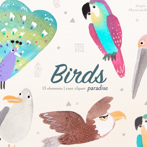 Animal Clip Art Cute Birds Clipart Colorful Cute Animal Clip - Etsy