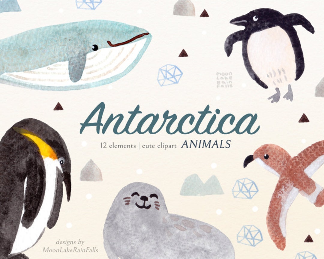 Watercolor ANTARCTICA Animals Clipart, Emperor Penguin, Baby Weddell ...